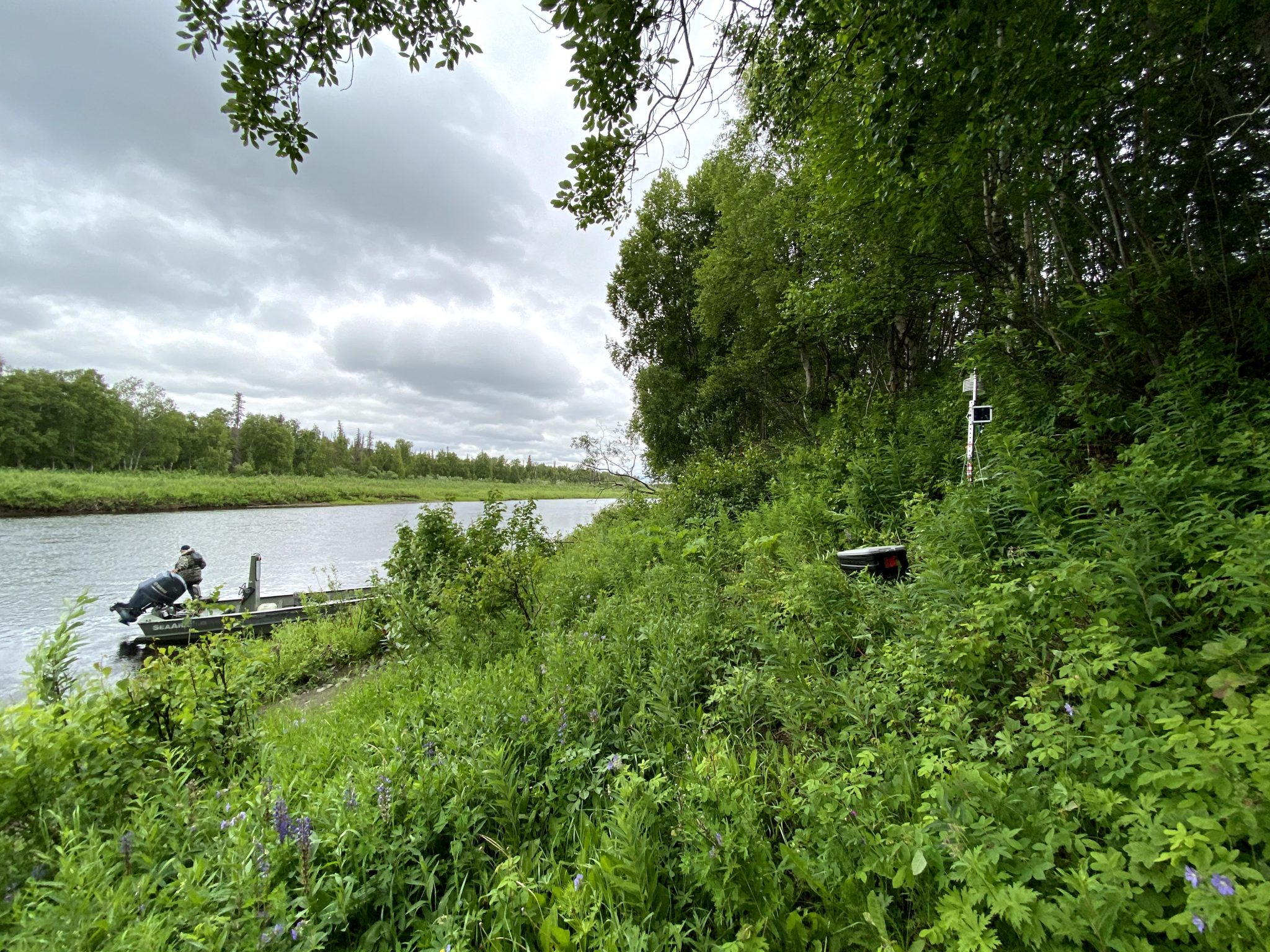 beadedstream - Temperature Profiling: A Key Tool for Monitoring Water ...