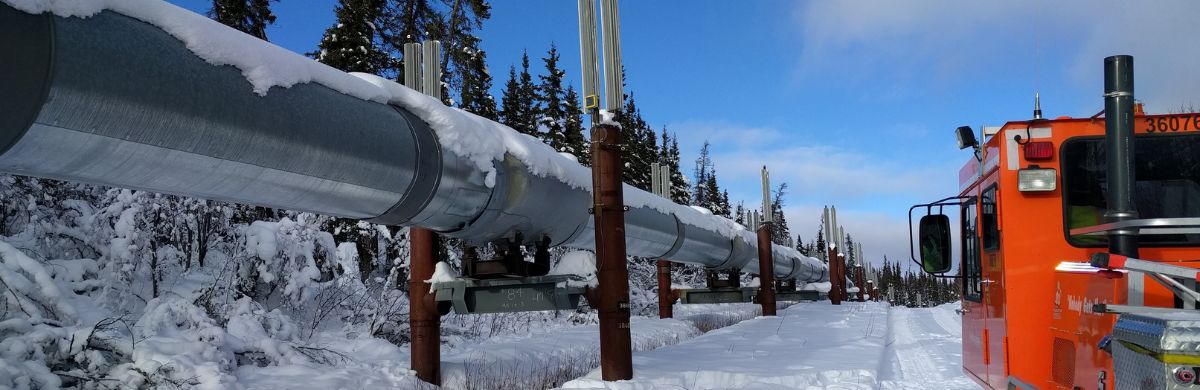 beadedstream - beadedstream to Showcase Advanced Temperature Monitoring ...