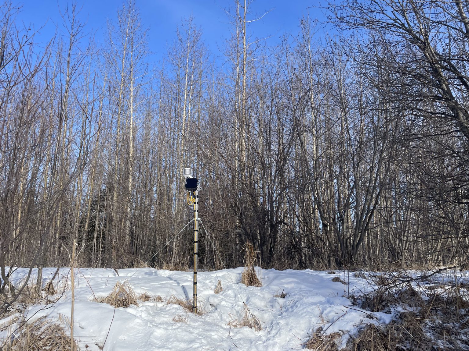 beadedstream - Arctic Ice Loss: Understanding Global Impacts and the ...